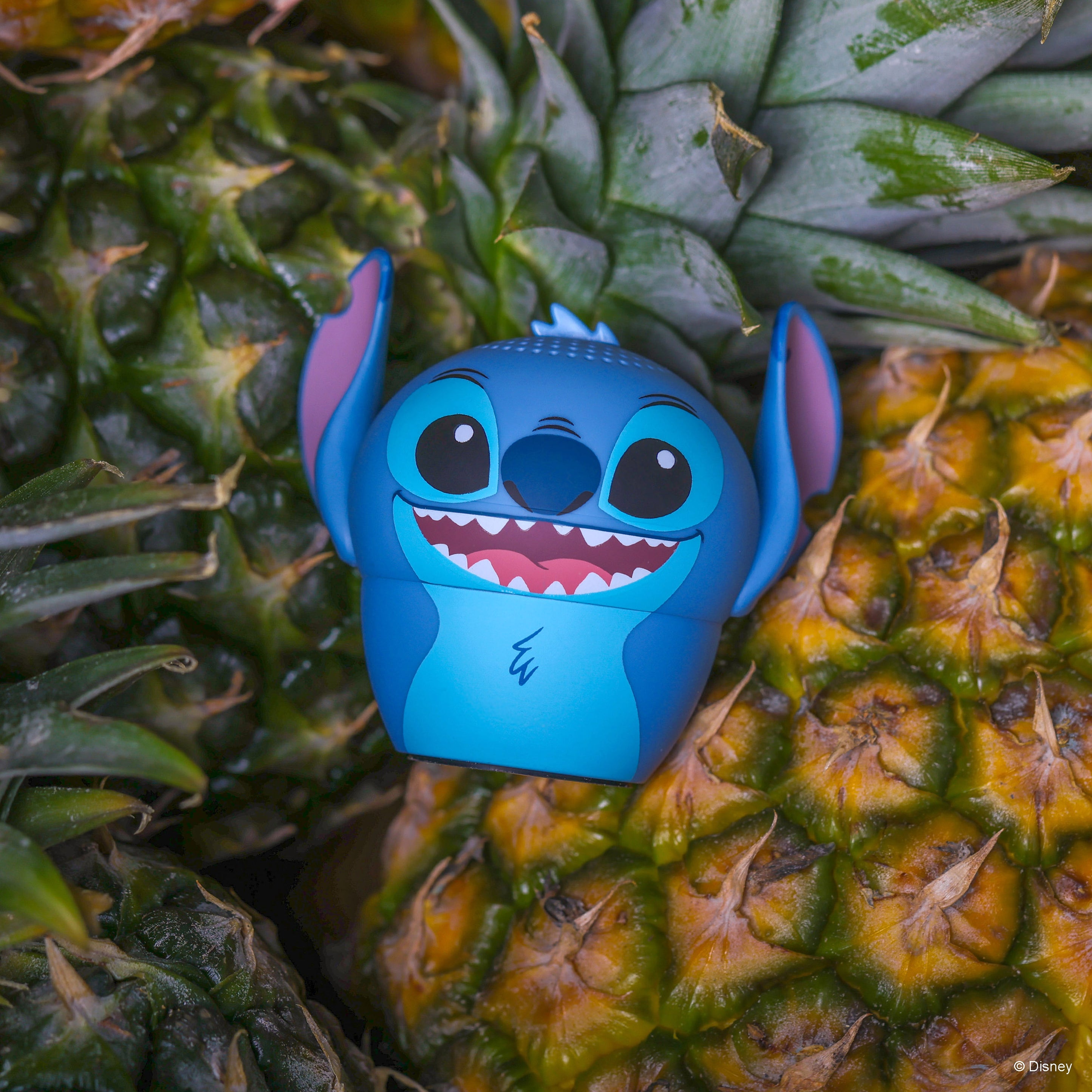 Stitch – Bitty Boomers